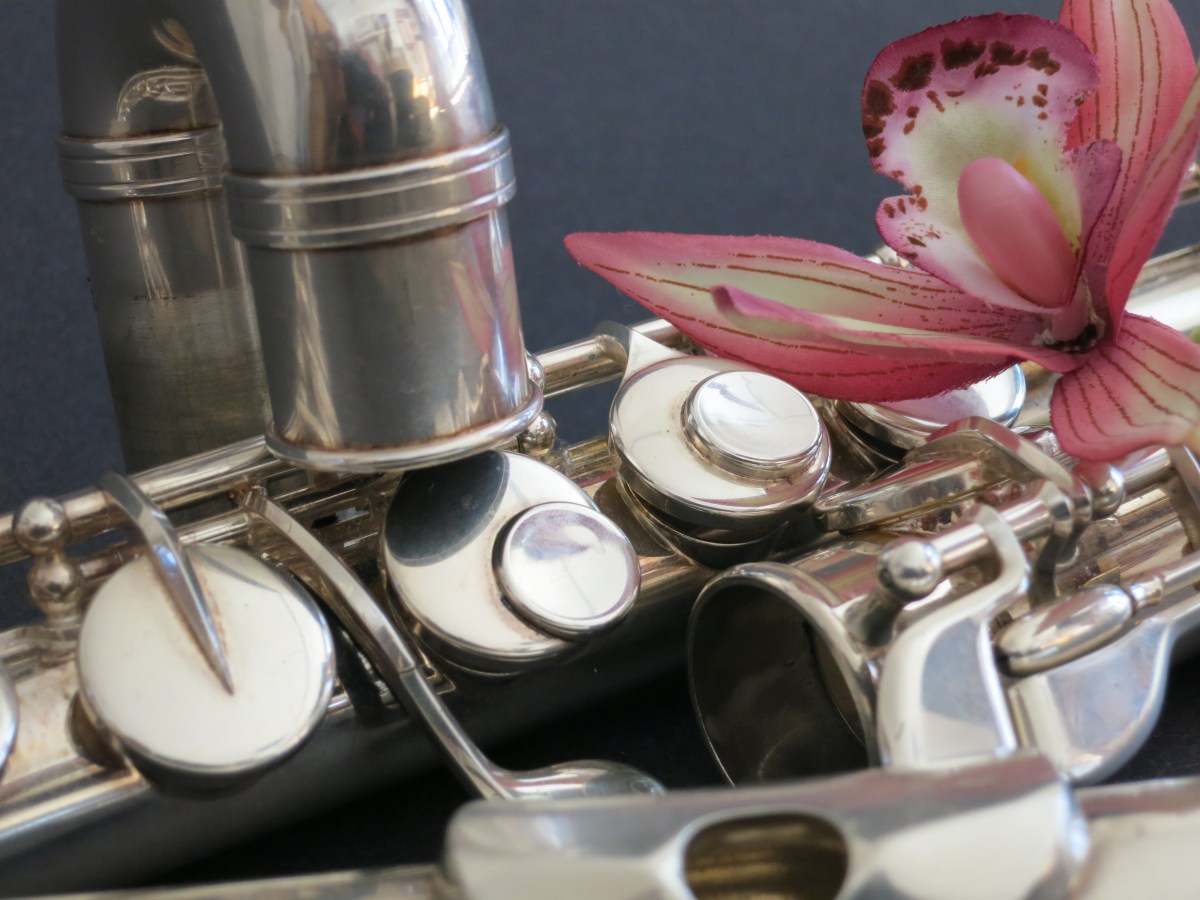 Chris Potter – Low-Flutes Specialist, International Soloist, Teacher ...