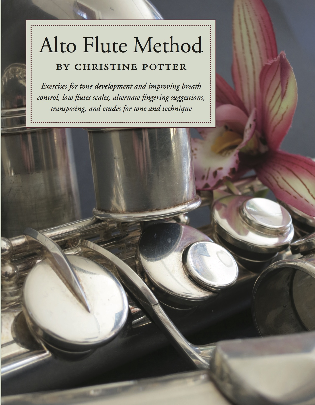 Alto Flute Method – Chris Potter